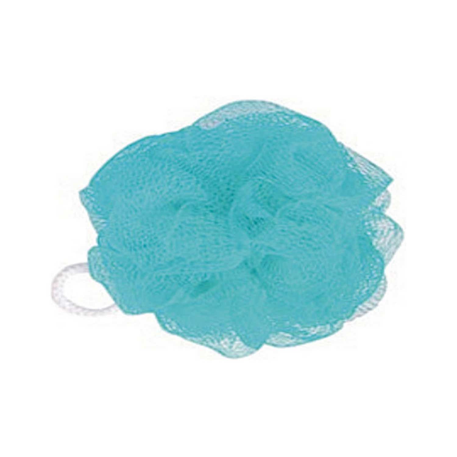 Buy Babila Classic Sponge BA-V025 (1Pc) Online at Best Price in India ...