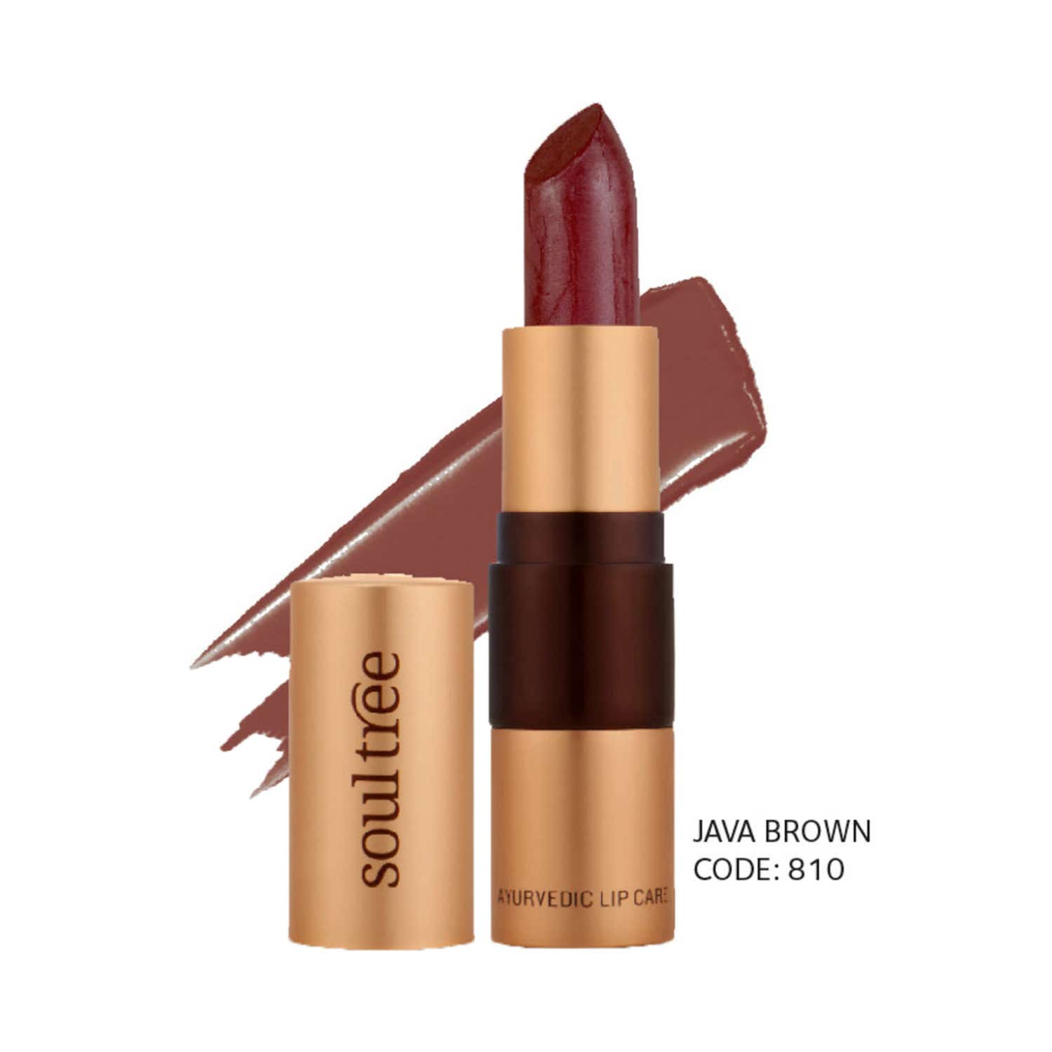 Buy SoulTree Ayurvedic Lipstick - Java Brown 810 (4g) Online at Best ...