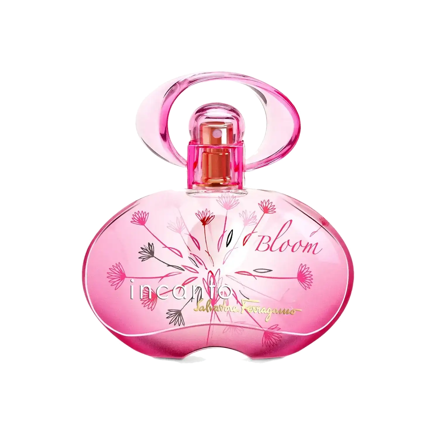 Buy Salvatore Ferragamo Incanto Bloom Eau de Toilette (50ml) Online at ...